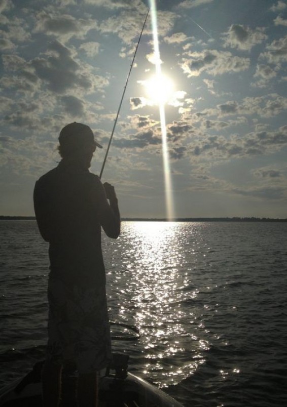 David Cosner — Chive Charities